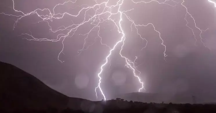 Wjerljocht kin libbene organismen feitlik beskermje