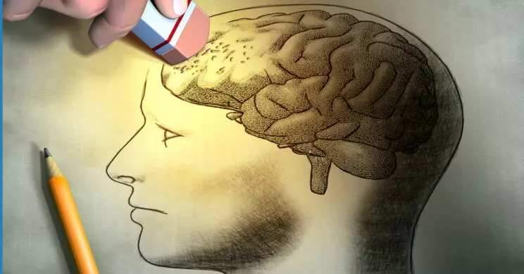 Moléculas terapêuticas revertem a perda de memória da depressão, envelhecimento