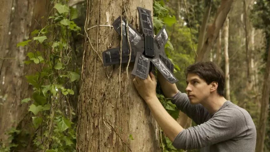 Rainforest Connection bertujuan untuk melindungi hutan hujan menggunakan teknologi kitar semula