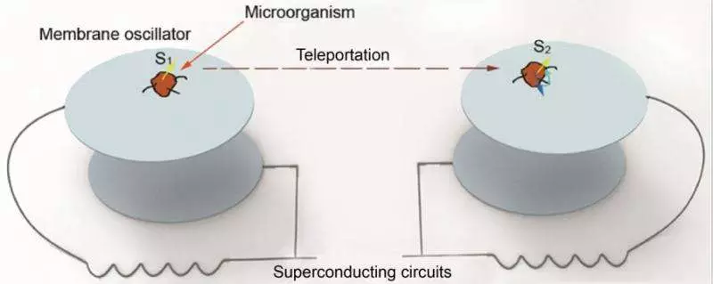 Quantum_teleportation_experiment