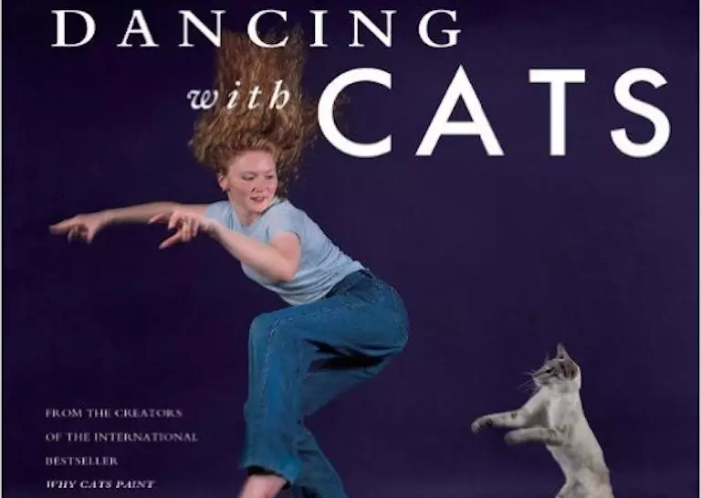 danser avec les chats