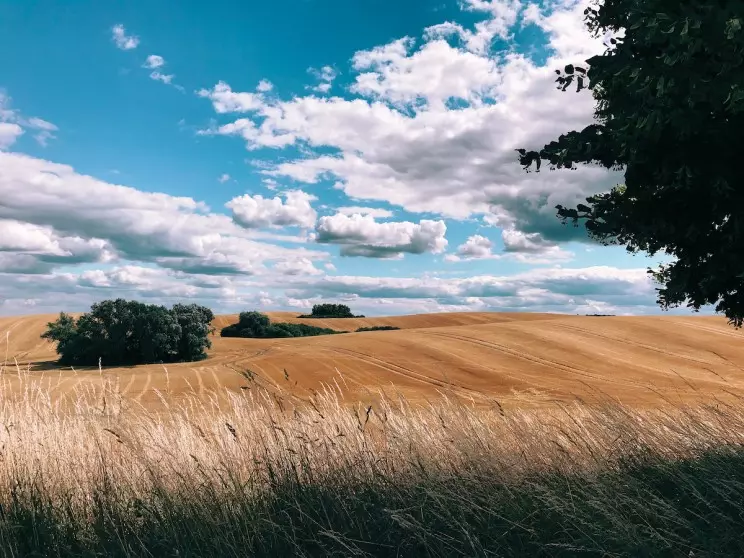 Déi bescht Apple iPhone Fotografie vum Joer