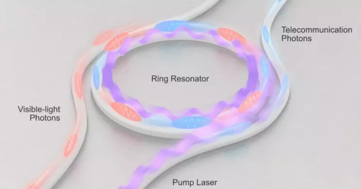 Foton Kuantum Dina Ring
