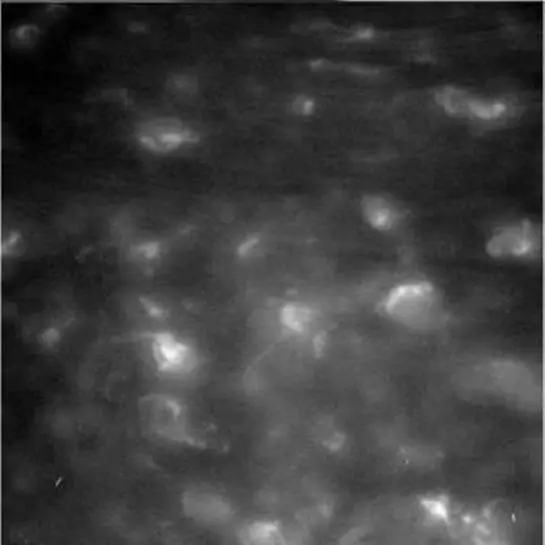 Кассини космик корабль Сатурн боҗраларындагы гаҗәеп рәсемнәр белән уртаклаша