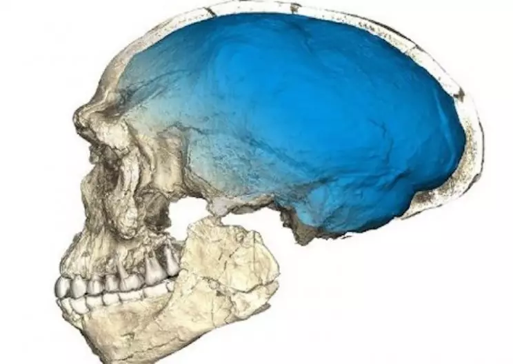 Fahitana vaovao momba ny fôsilin'ny Homo Sapiens 300.000 taona dia namerina nanoratra ny tantaran'ny olombelona