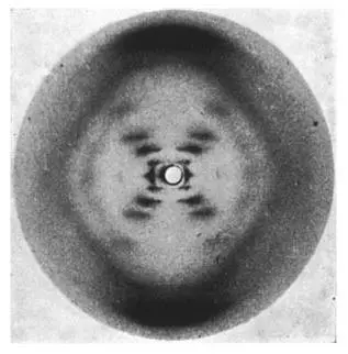 Rosalind Franklin- DNA ၏ဖွဲ့စည်းပုံအား ရှာဖွေတွေ့ရှိမှုနောက်ကွယ်တွင် မထင်ရှားသောသူရဲကောင်း