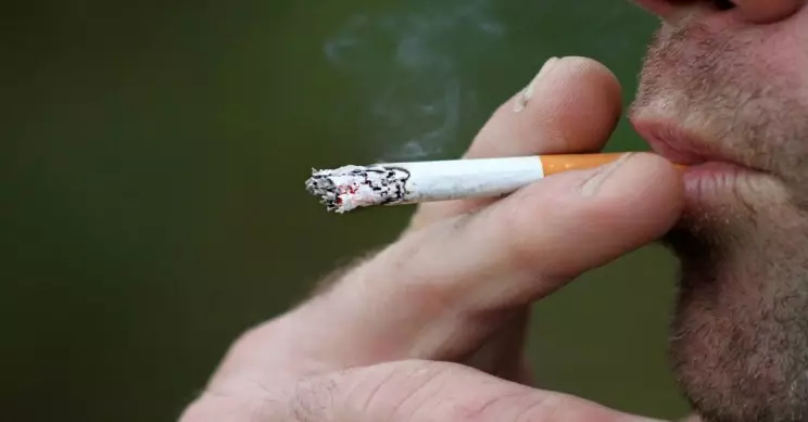 Paparan Nikotin Bisa Ngabahayakeun Émbrio dina Tingkat Sél Tunggal