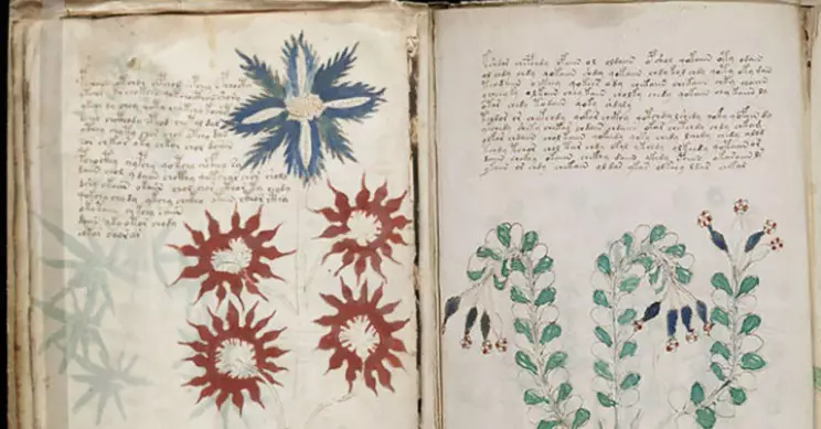 Kimsenin Çözemediği Gizem: Voynich El Yazması