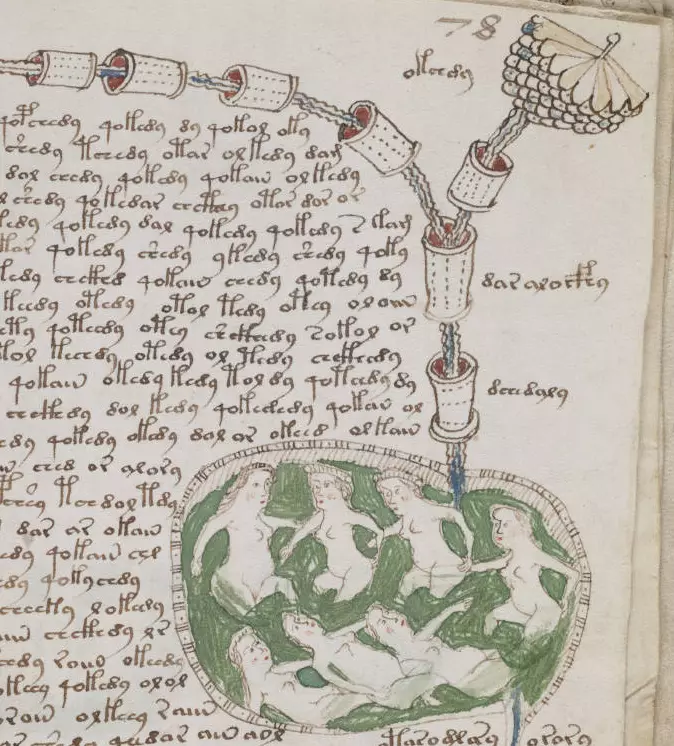 Voynich_man script_bathtub2_example_78r_cropped