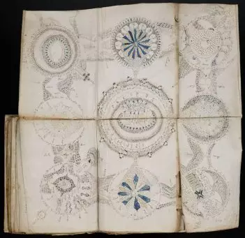 Voynich_Manuscript_(158)