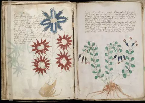 voynich