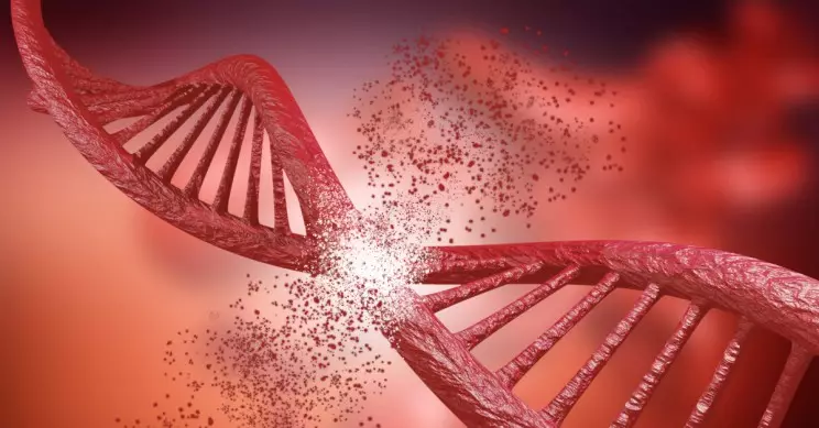 ABD'de CRISPR Gen-Düzenlemeyi Kullanan İlk İnsan Denemesi Başlıyor