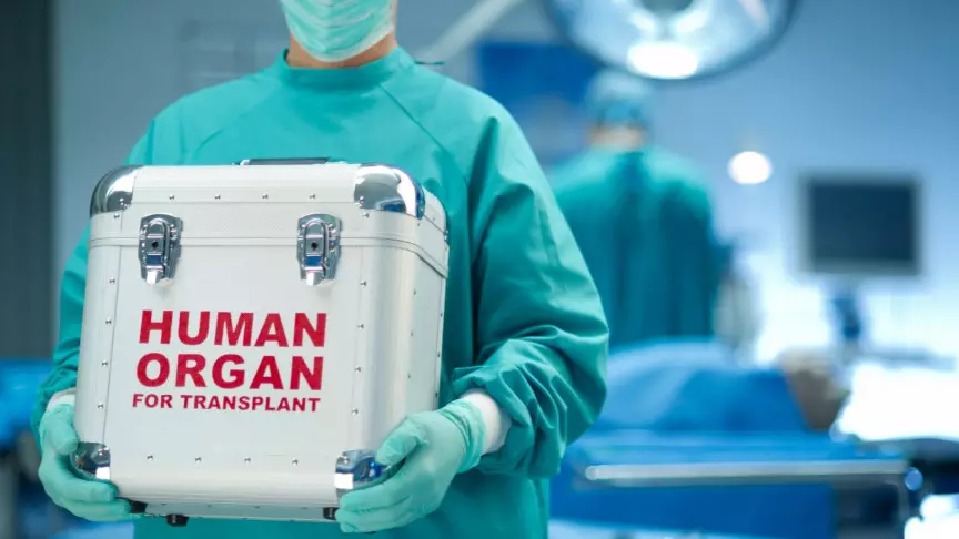 En menneskelig lever bevaret i tre dage uden for kroppen blev transplanteret med succes