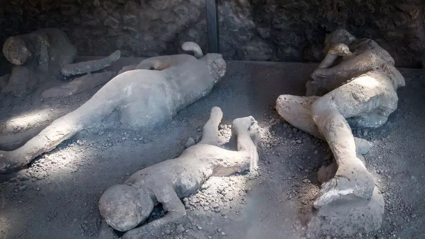 Dilynodd yr ymchwilwyr genom un o drigolion hynafol Pompeii