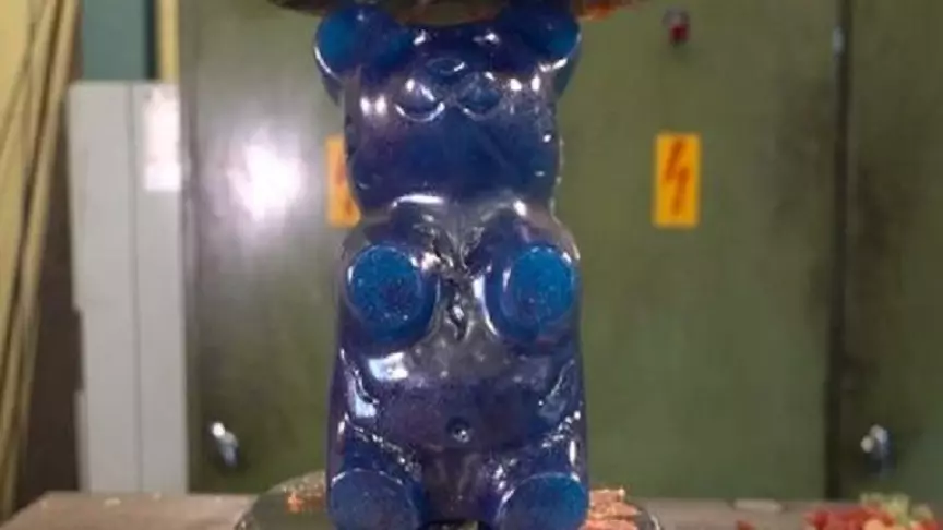 Ursinhos de goma gigantes esmagados por uma prensa hidráulica