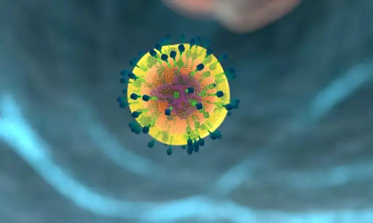 Nova perspektiva za imuni sistem