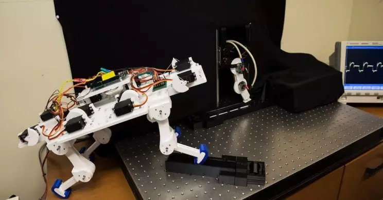 Itinuro ng AI-Driven Robotic Leg ang Sarili nitong Maglakad