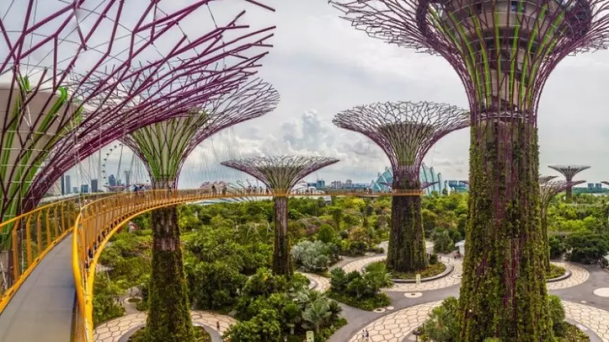 'Gardens by the Bay' ee Singapore waa daanka daanka