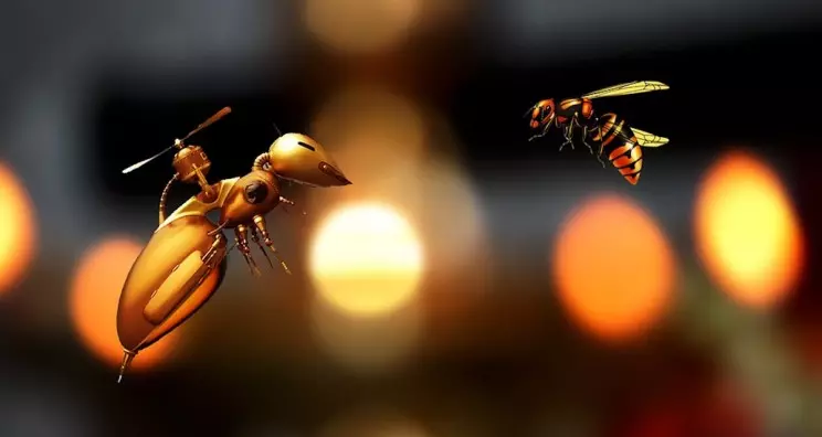 蜜蜂与鱼交谈：一项新技术使跨物种交流成为可能